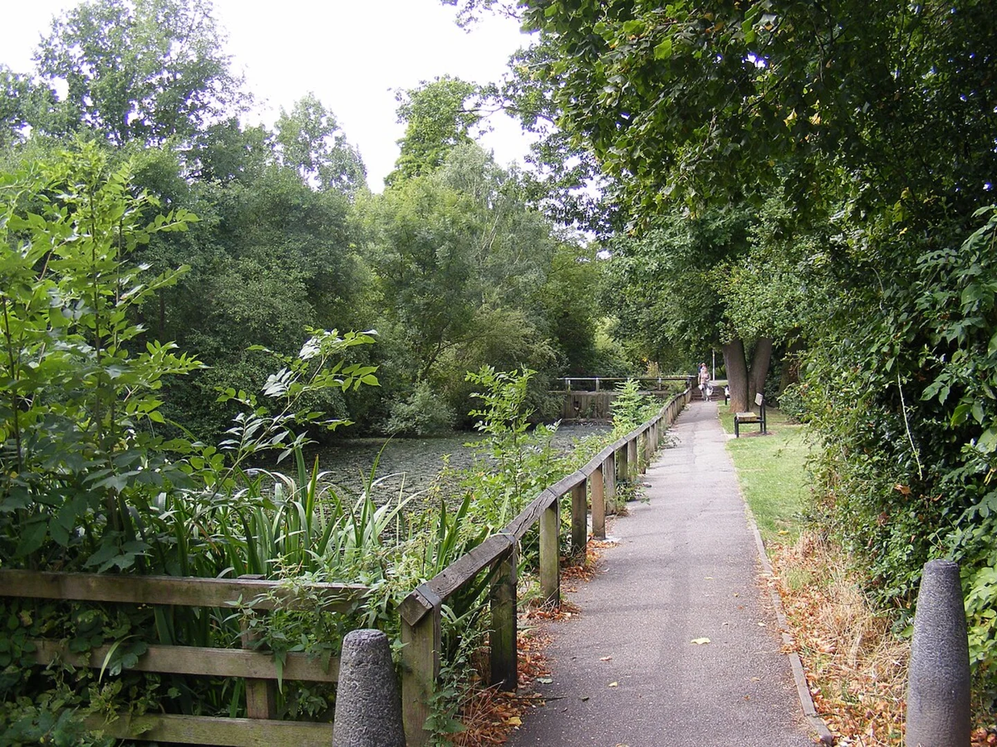 Galleywood Country Park Loop | Essex | England