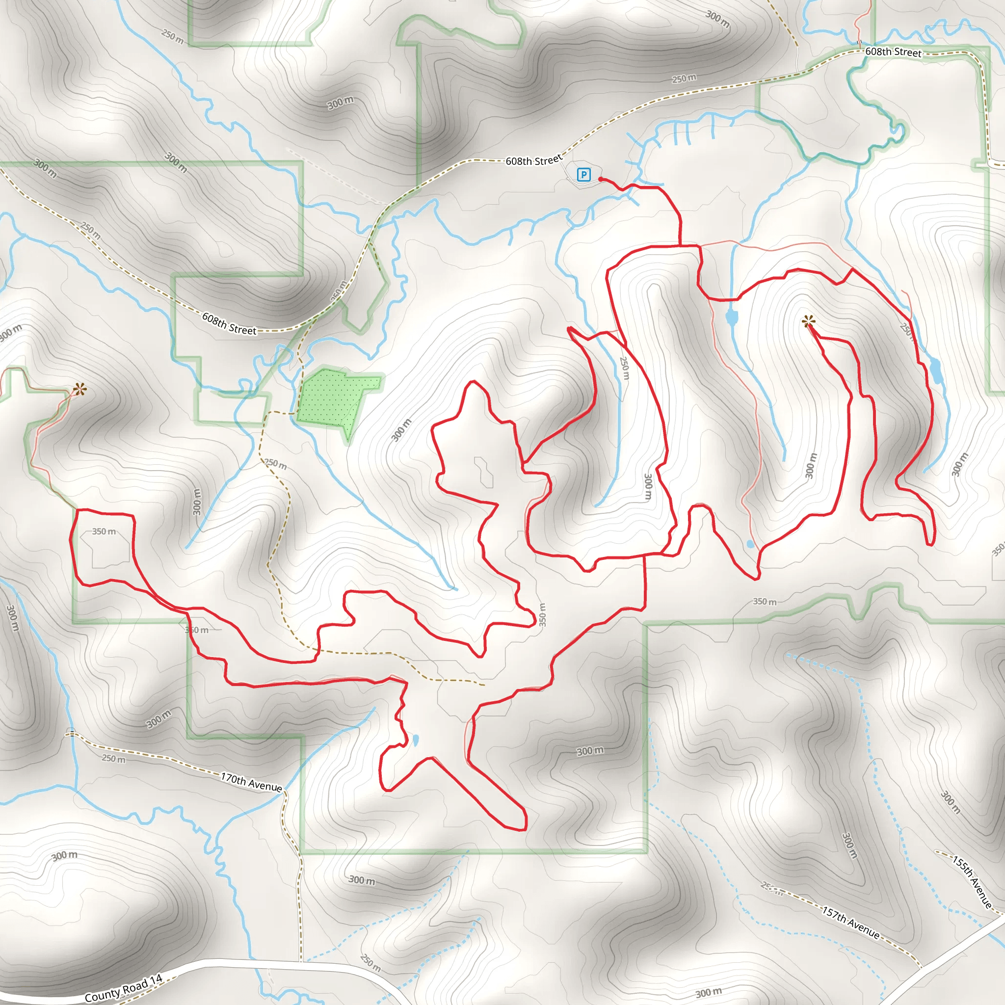 Richard J Dorer Memorial Hardwood State Forest Loop | Wabasha County