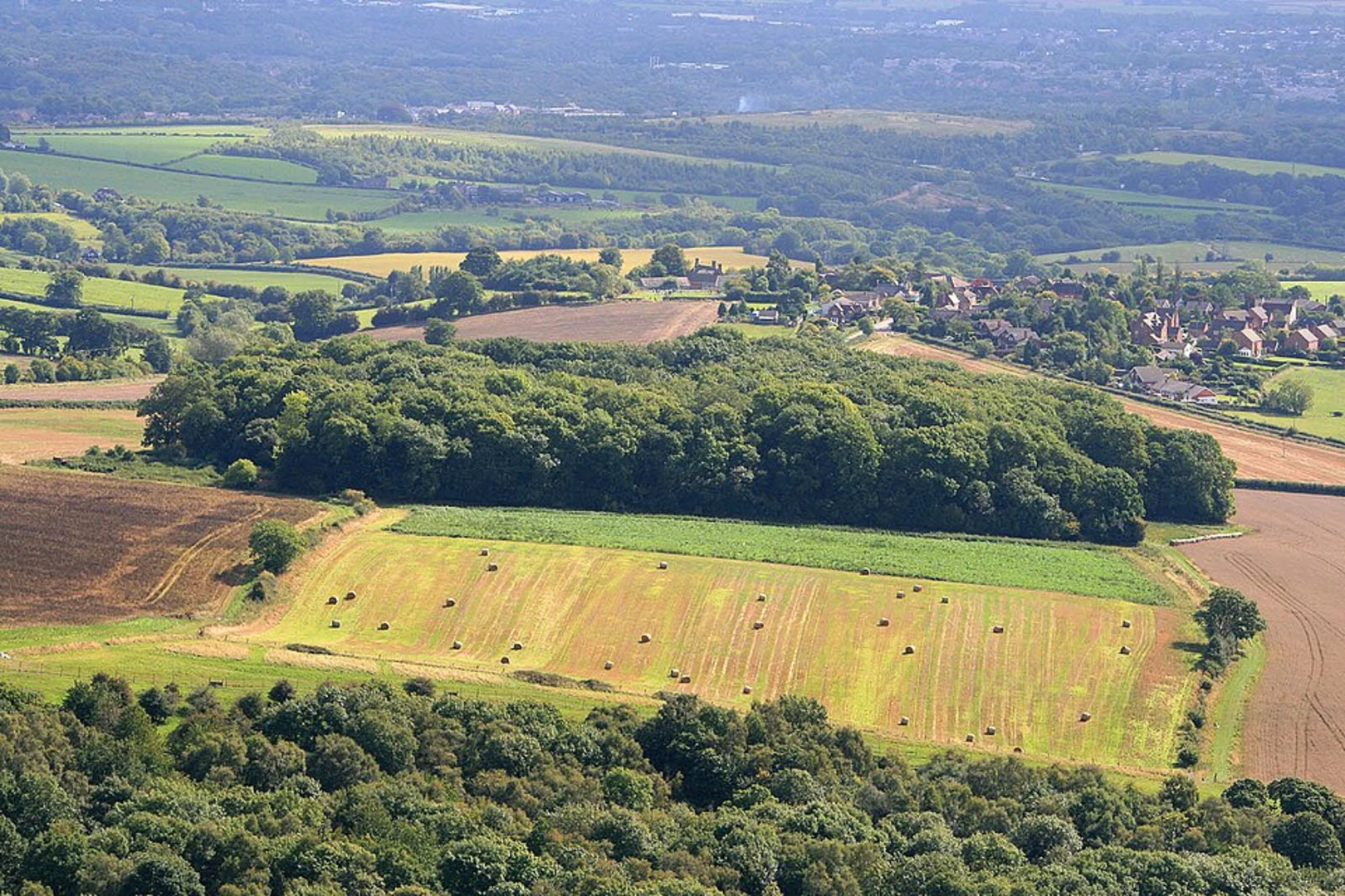 Ercall Wood, Horsehay Pool and Little Wenlock Park Loop | Telford and