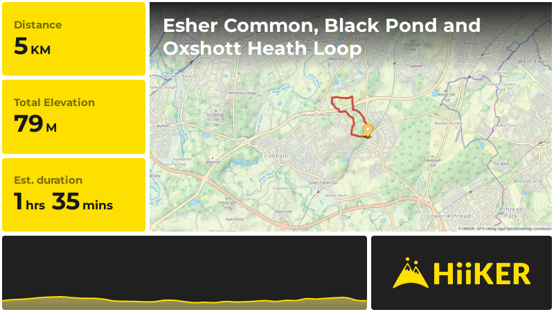 Esher Common, Black Pond and Oxshott Heath Loop | Surrey | England