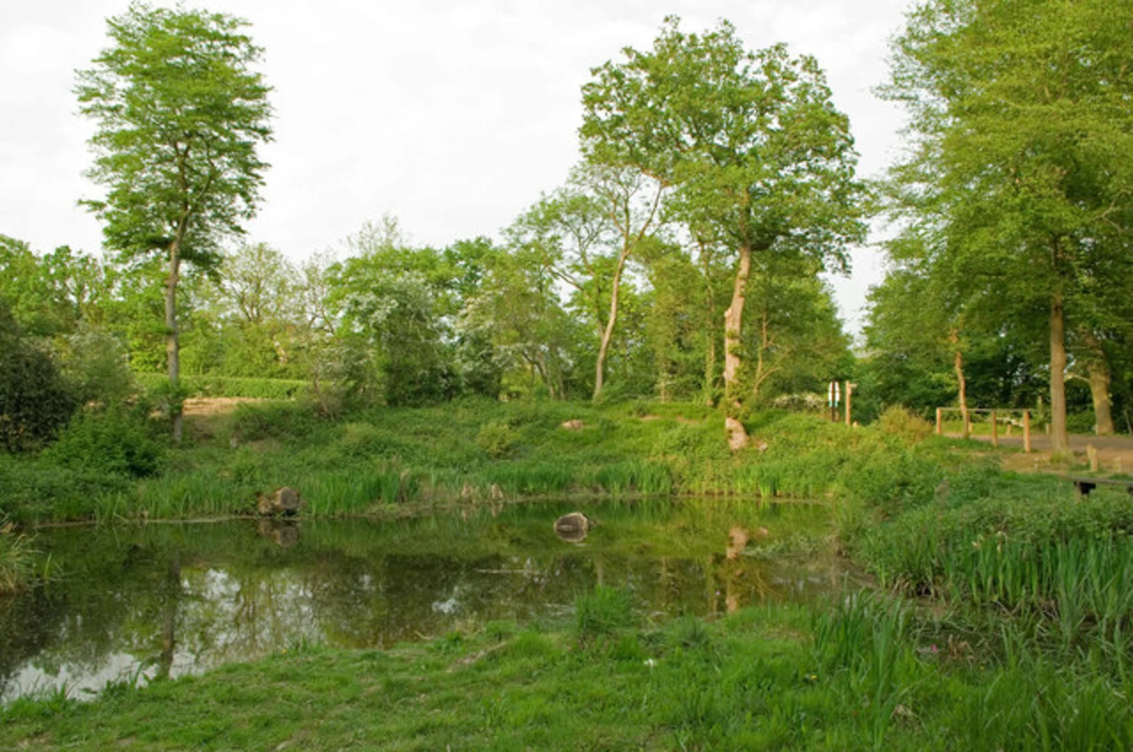 Outwood Common Country Park and Bransland Wood Loop | Surrey | England
