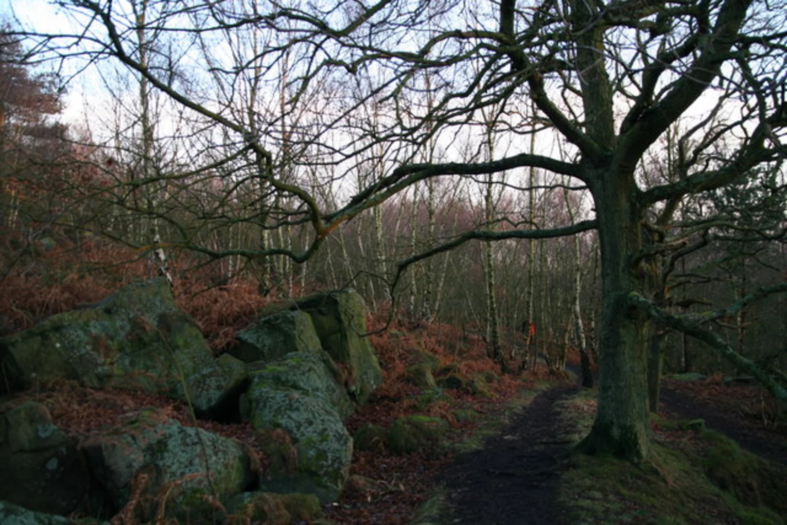 Wadsley Common Loop | Sheffield | England