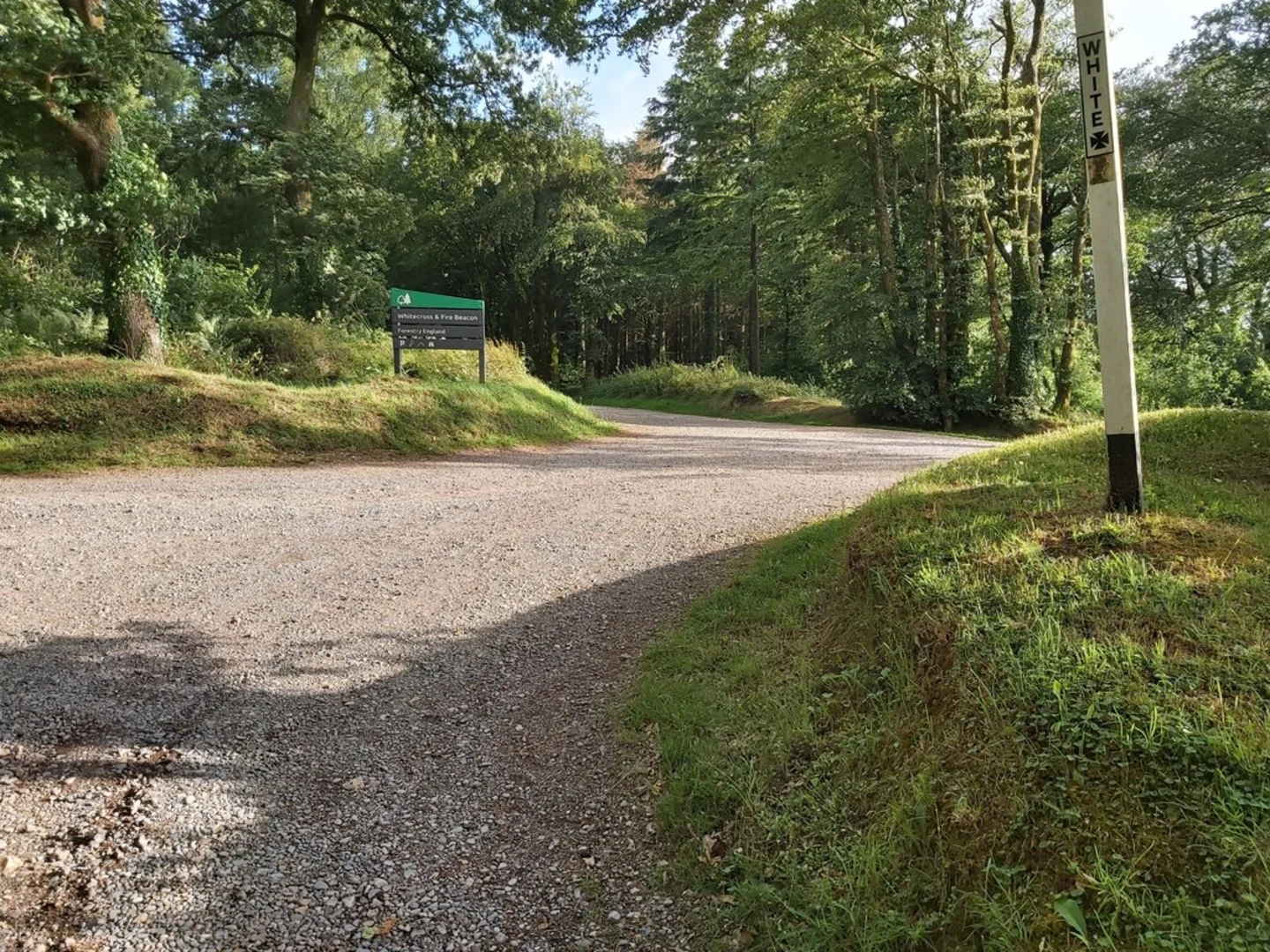 Harpford Wood, Beacon Hill and River Otter Loop | Devon | England