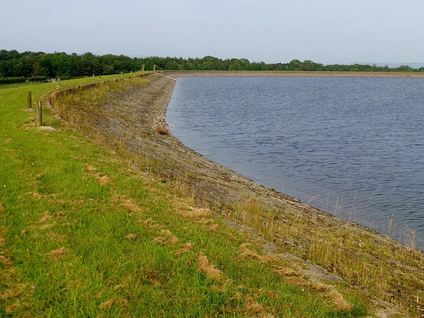 Alston Reservoir and Longridge Park Loop | Lancashire | England
