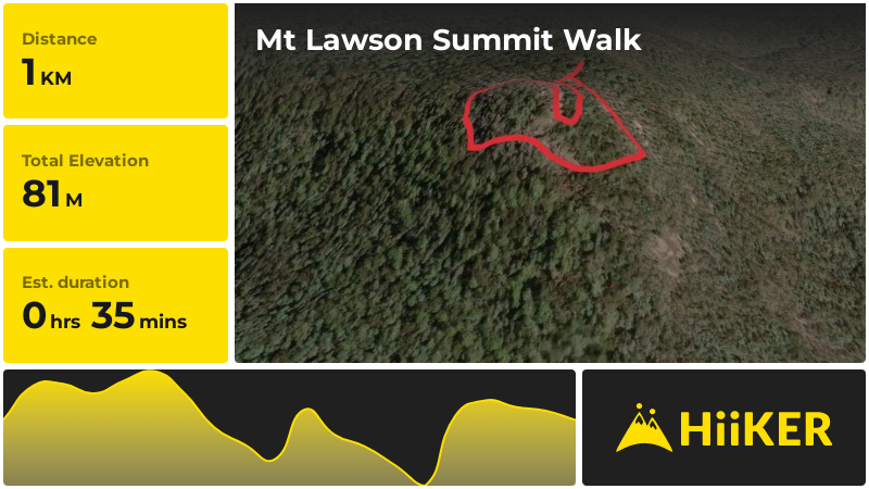 Mt Lawson Summit Walk | Shire of Towong | Victoria