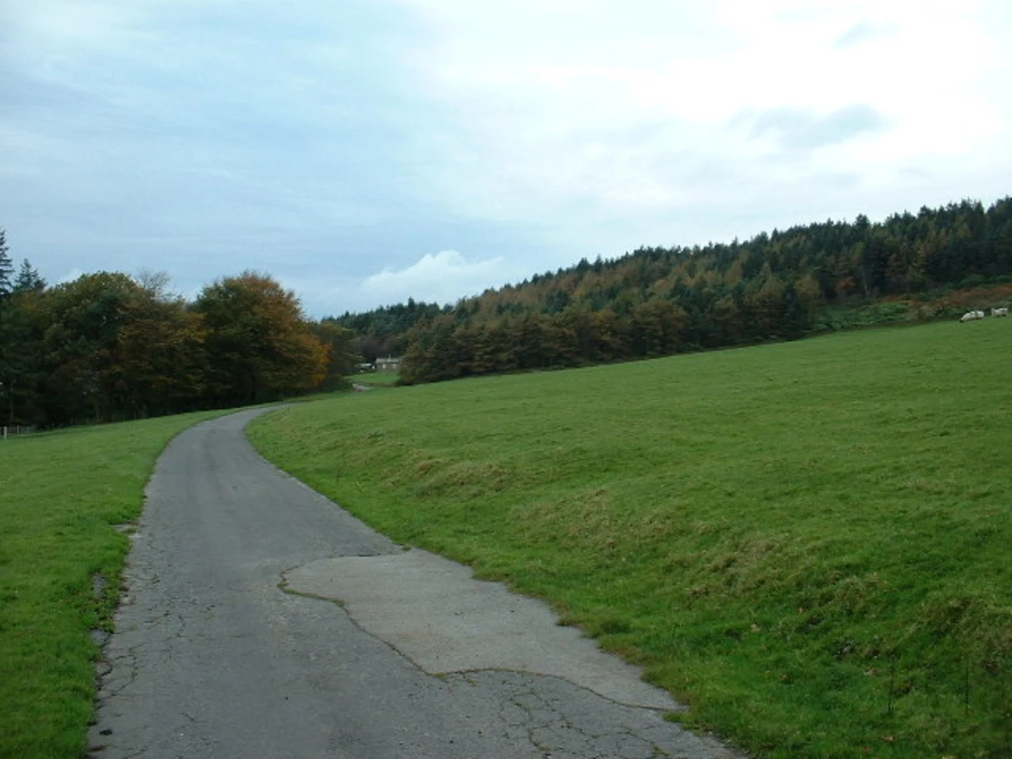 Brock Valley Picnic Site Loop | Lancashire | England