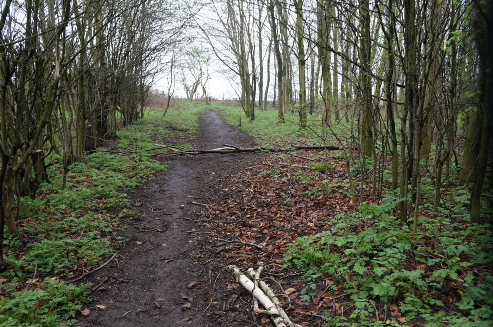 Spring Lane Sidings Loop | Leeds | England