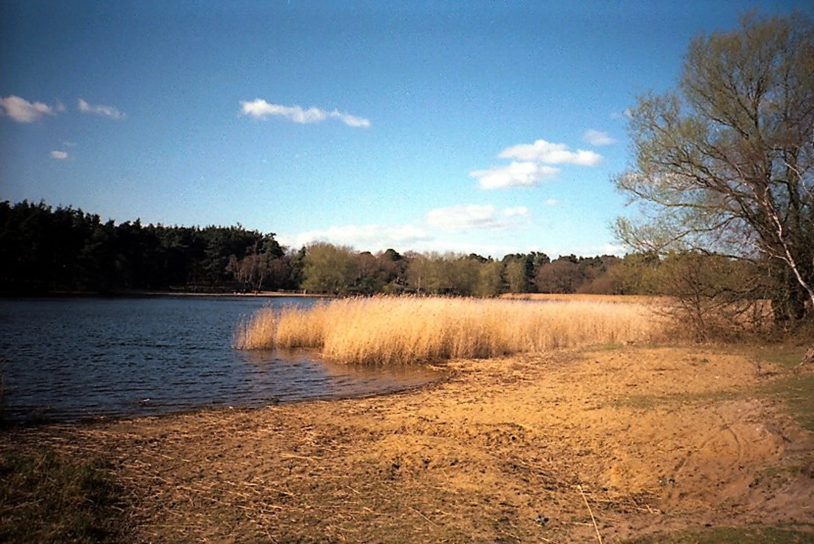 Frensham Little Pond Loop from Tilford Green | Surrey | England