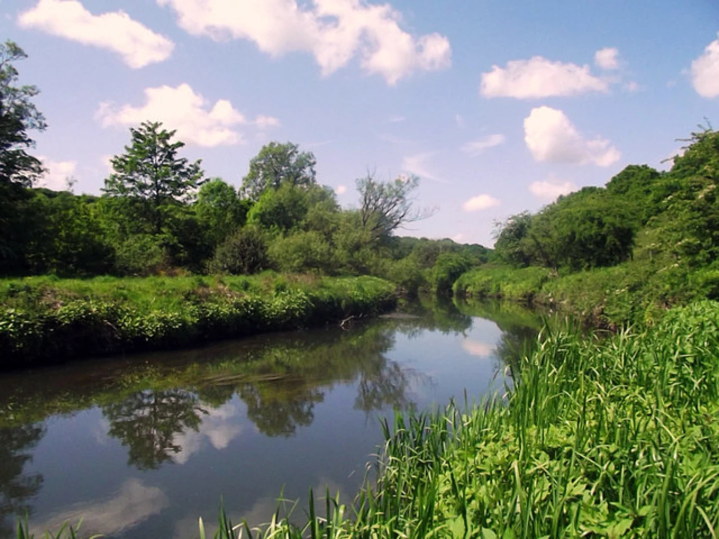 Ashurst's Beacon, Beacon Country Park and Bank Top Loop | Lancashire